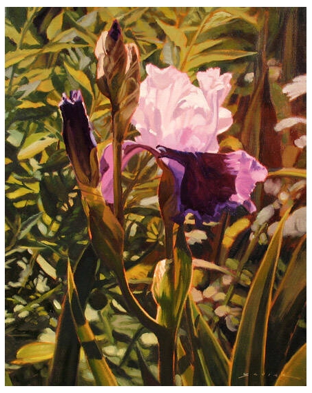 Gerald Sevier | Iris (edm) | MutualArt