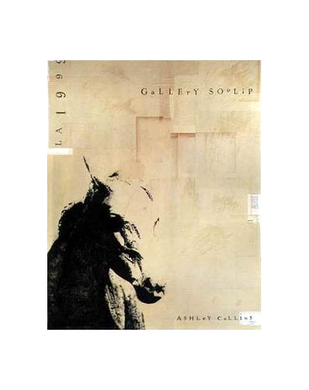 Ashley Collins | Gallery Soolip | MutualArt