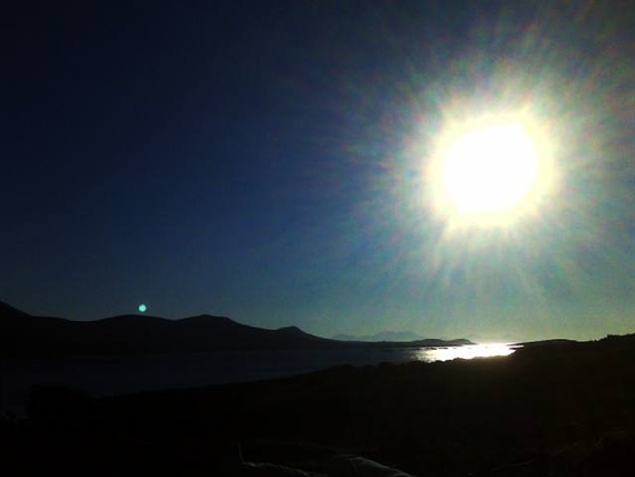 Alex Hank | Biography