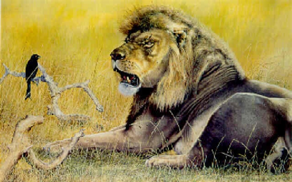 David J. Perkins | Performance at Auction | MutualArt