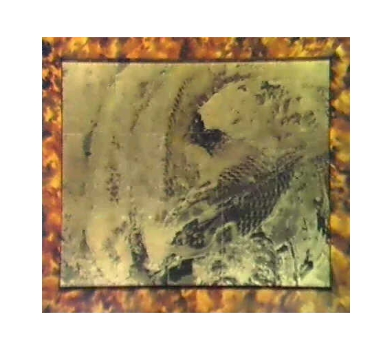 Sally Larsen | 4 Artworks | MutualArt