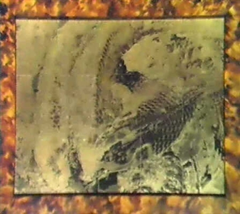 Sally Larsen | 4 Artworks at Auction | MutualArt