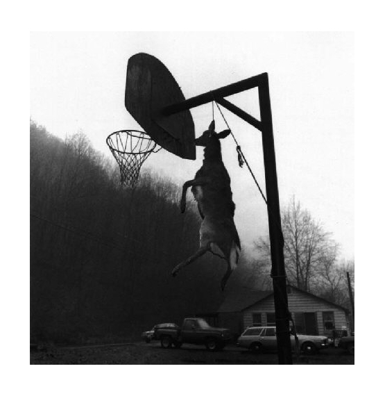 Susan Lipper | 2 Artworks at Auction | MutualArt