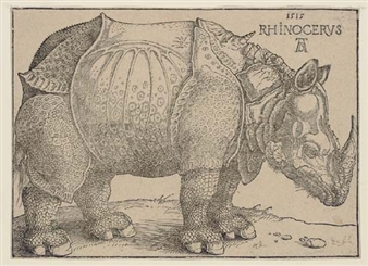 Albrecht Dürer | A Rhinoceros (1515) | MutualArt