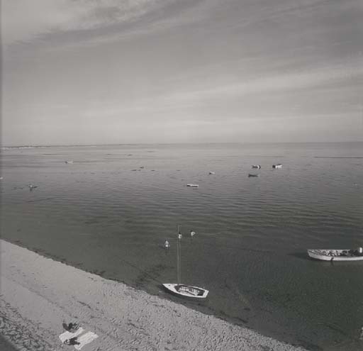 Harry Callahan | In Chicago | MutualArt