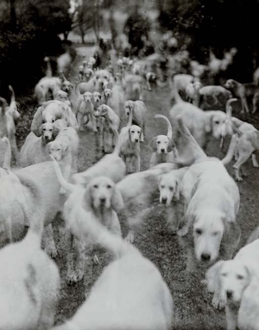Norman Parkinson | Ava Gardner for Vogue (1953) | MutualArt