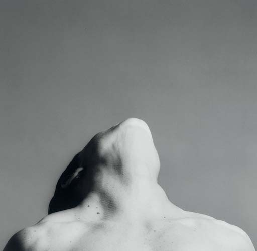 Robert Mapplethorpe | Lisa Lyon (1982) | MutualArt