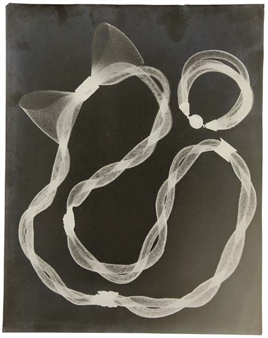 Man Ray | Rayograph (1932 - 1933) | MutualArt