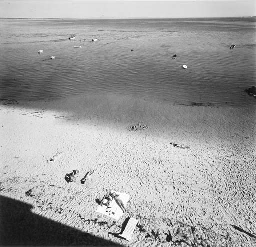 Harry Callahan | Cape Cod | MutualArt