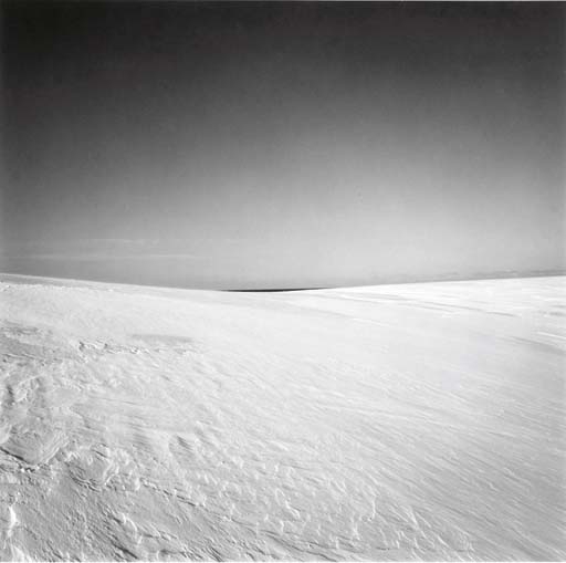 Harry Callahan | Cape Cod (1972) | MutualArt