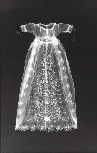 Adam Fuss | Untitled, from the Pinhole View series | MutualArt