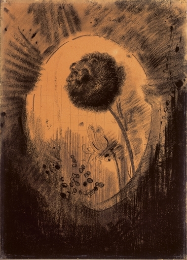 Odilon Redon | Il y a peut-être une première humanité essayée dans la ...