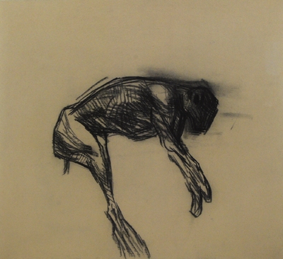 Peter Coker | Study of a skinned hare (1956) | MutualArt
