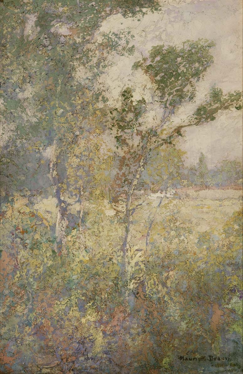 Maurice Braun | San Diego landscape (probably Decker Canyon) | MutualArt