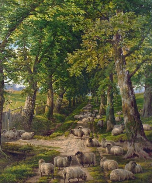 Charles Jones | Sheep resting on a shady path (1875) | MutualArt