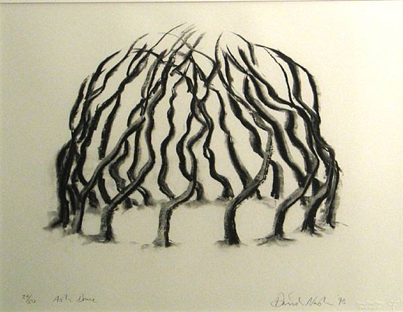 David Nash | Ash Dome, from the Landscape portfolio (1998) | MutualArt