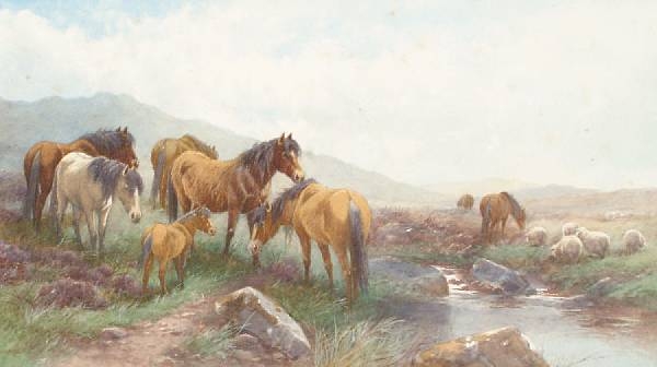Thomas Rowden | Dartmoor ponies and sheep | MutualArt