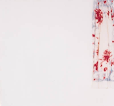 Uta Barth | Field #18 | MutualArt