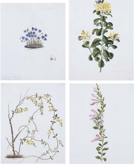 William Gould | WILLIAM BUELOW GOULD (1803-1853) | MutualArt