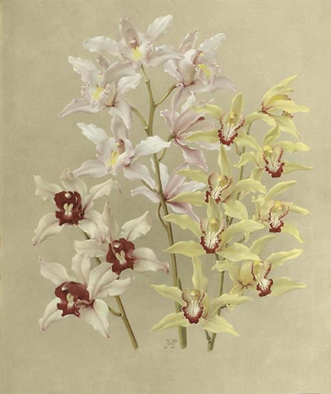 Jan Voerman II | Orchids | MutualArt