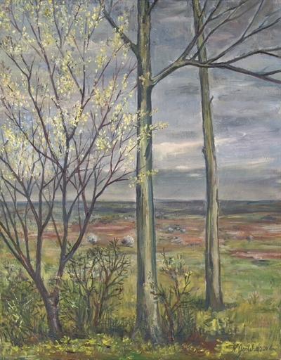 Natalia Goncharova | Spanish woman with a fan | MutualArt