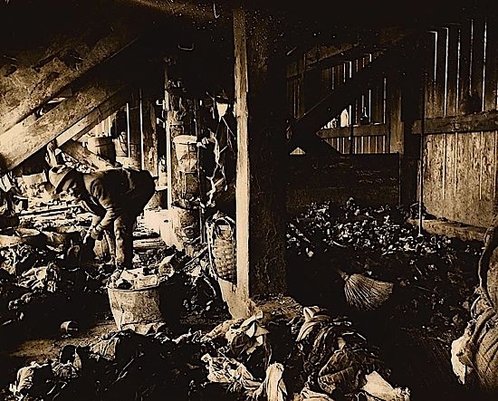 Jacob Riis | Performance at Auction | MutualArt