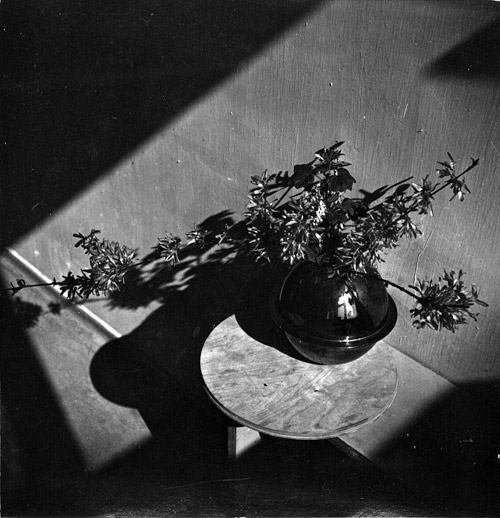 Gyula Pap | Flower Still-Life (1929) | MutualArt