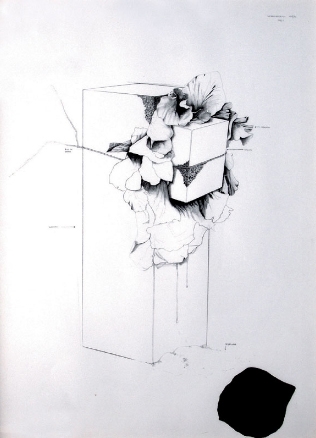 Giovanni Anselmo | Sans titre (1968 - 1972) | MutualArt