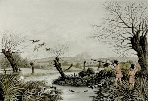 1 Robert Havell Signatures | MutualArt