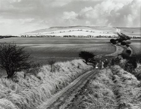 Fay Godwin | RURAL LANDSCAPE | MutualArt