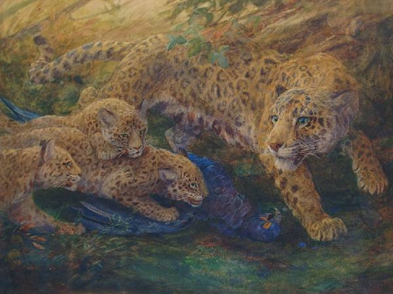 Harry Dixon | A leopard and her cubs with a fresh kill (1909) | MutualArt