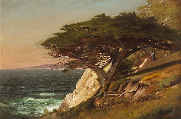 Raymond Dabb Yelland | Cypress Tree, Carmel Bay (1879) | MutualArt