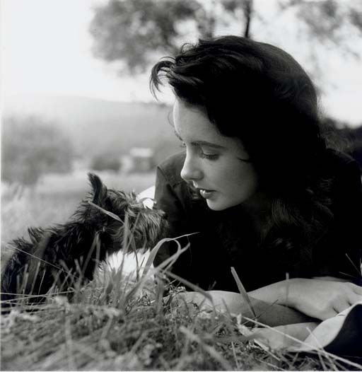 Peter Basch | 66 Artworks | MutualArt