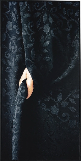 Parastou Forouhar | 14 Artworks | MutualArt