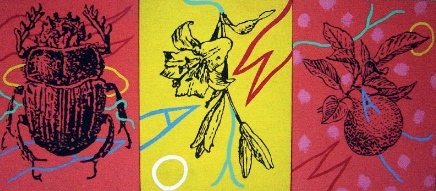 Patrick Moya | Biography