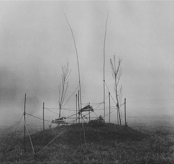 Nils-Udo | Hommage à Gustav Mahler - Pappeln, Esche, Hasel, Waldrebe ...