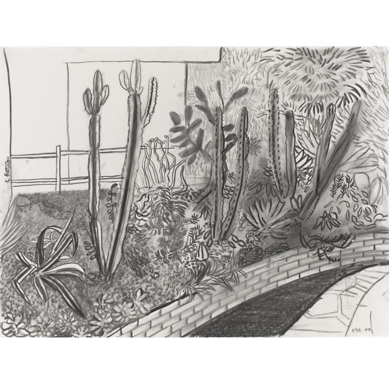 David Hockney | CACTUS GARDEN | MutualArt