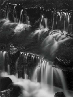 Ansel Adams | Fern Spring, Yosemite Valley (1961) | MutualArt