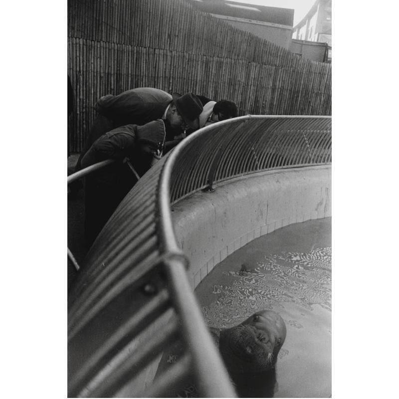 Garry Winogrand | Untitled, c. 1970, from Women Are Beautiful | MutualArt