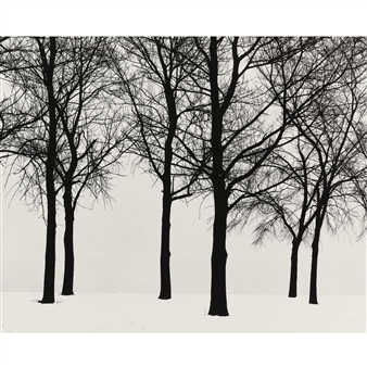 Harry Callahan | multiple exposure, tree, chicago | MutualArt