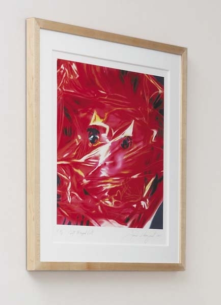 James Rosenquist | Gift Wrapped Doll (1993) | MutualArt
