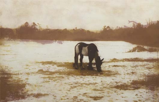 Peter Doig | Pinto, from the series '100 Years Ago' (2001) | MutualArt