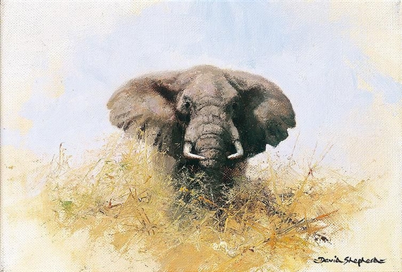 David Shepherd | elephant | MutualArt