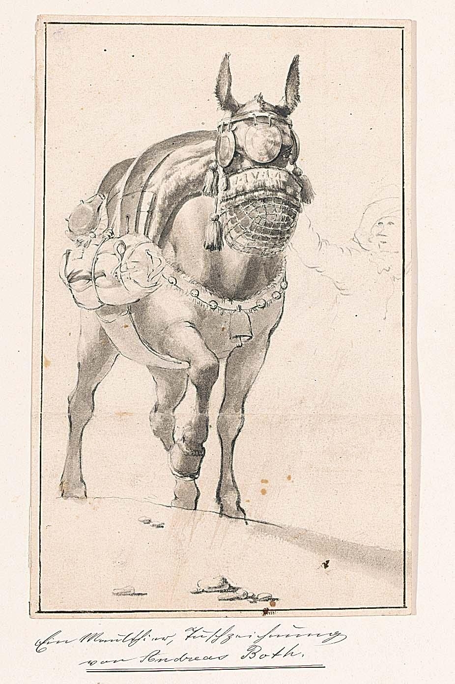 Andries Dirksz. Both | A MULE | MutualArt