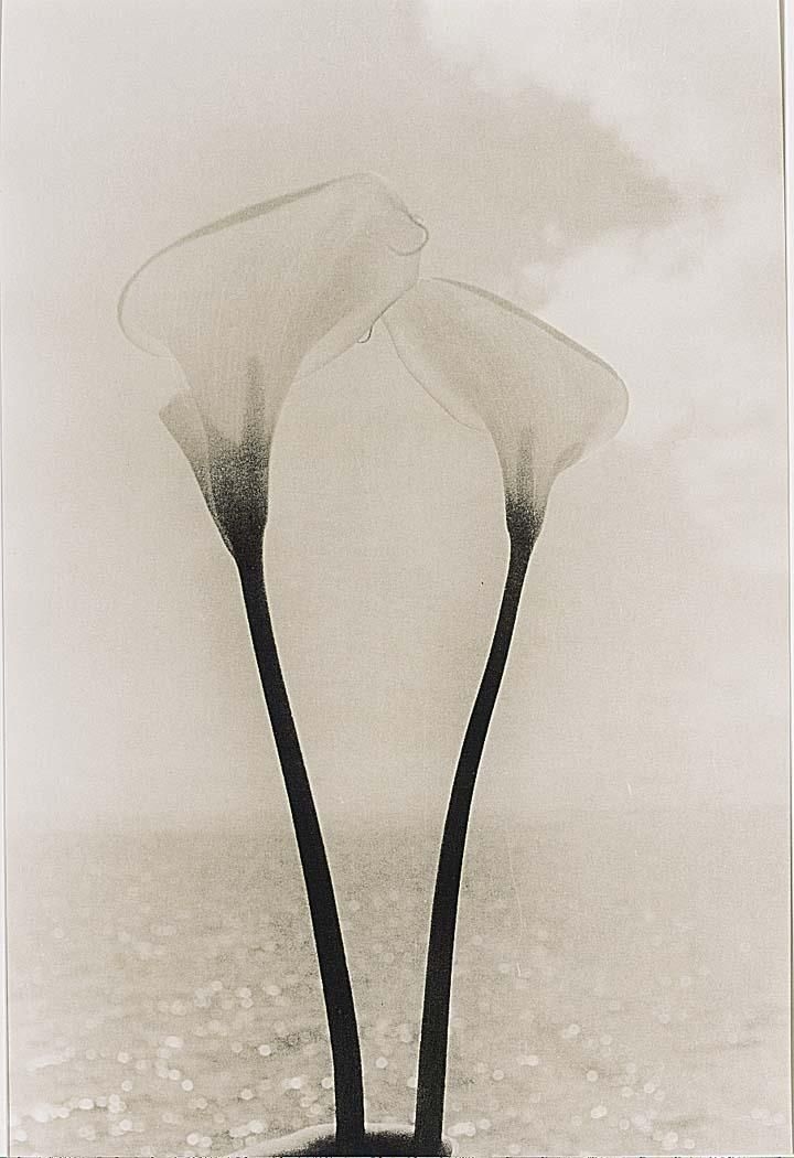 Robert Besanko | SELECTED IMAGES, 1978-1979 | MutualArt