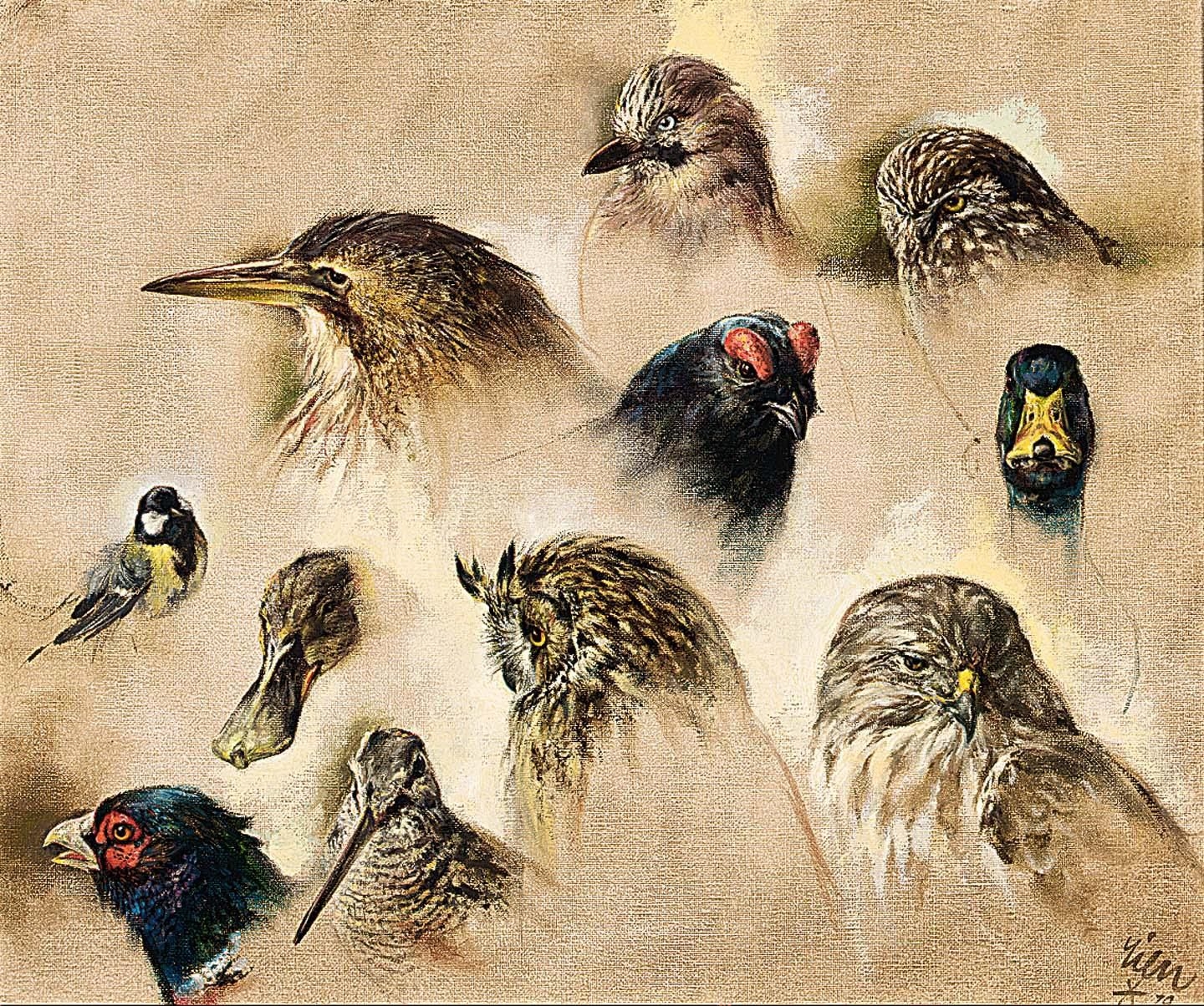 Rien Poortvliet | STUDY OF BIRDS | MutualArt