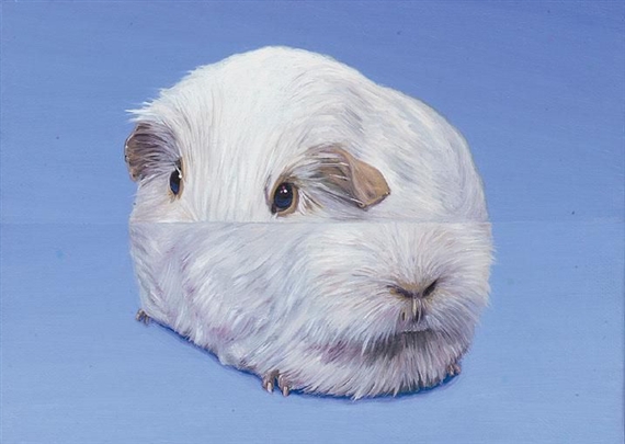 Dan Hays | GUINEA PIG | MutualArt