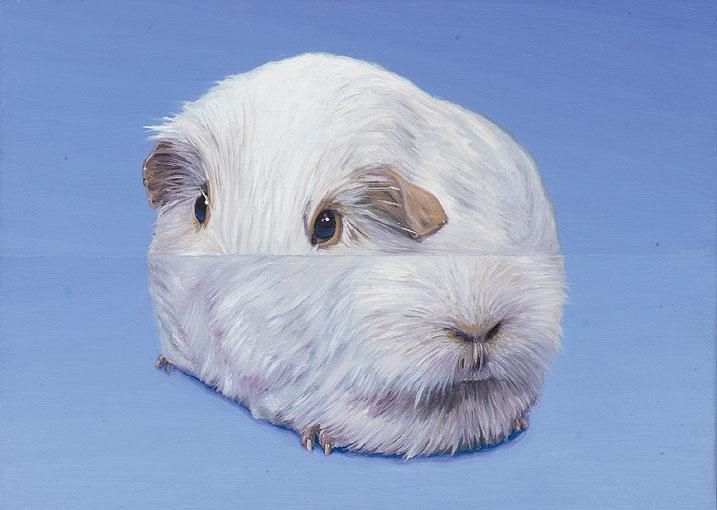 Dan Hays | GUINEA PIG | MutualArt