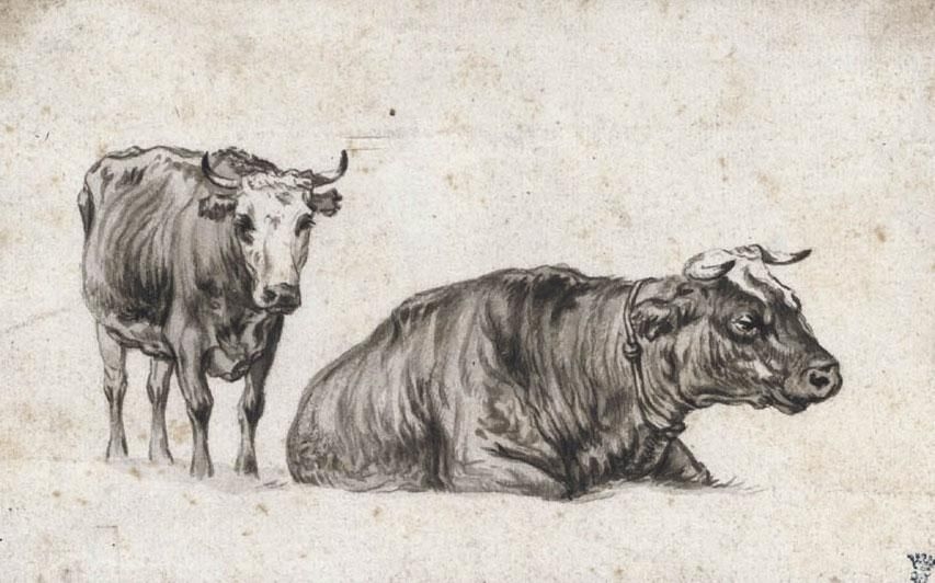 Aelbert Cuyp | STUDY OF TWO COWS | MutualArt