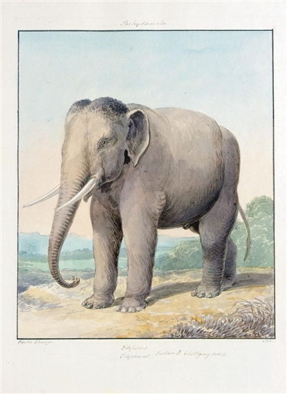 Charles Hamilton Smith | 46 Artworks | MutualArt